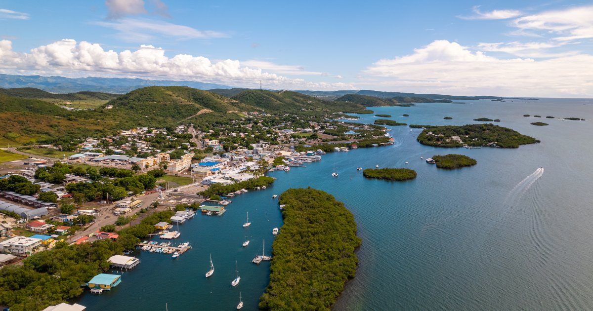 Guía para explorar las bahías bioluminiscentes de Puerto Rico